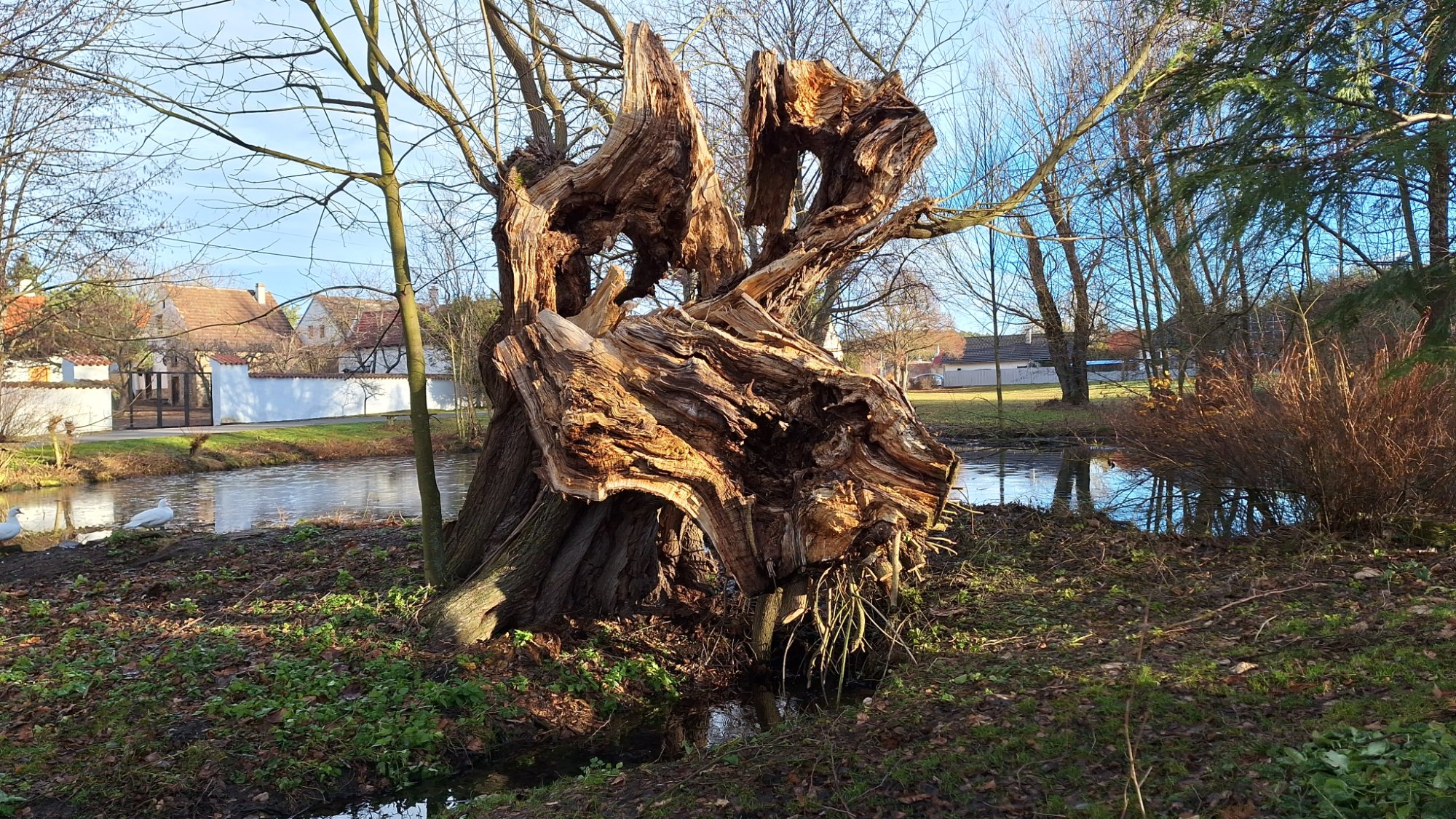 Solve Strom - Tree jigsaw puzzle online with 66 pieces