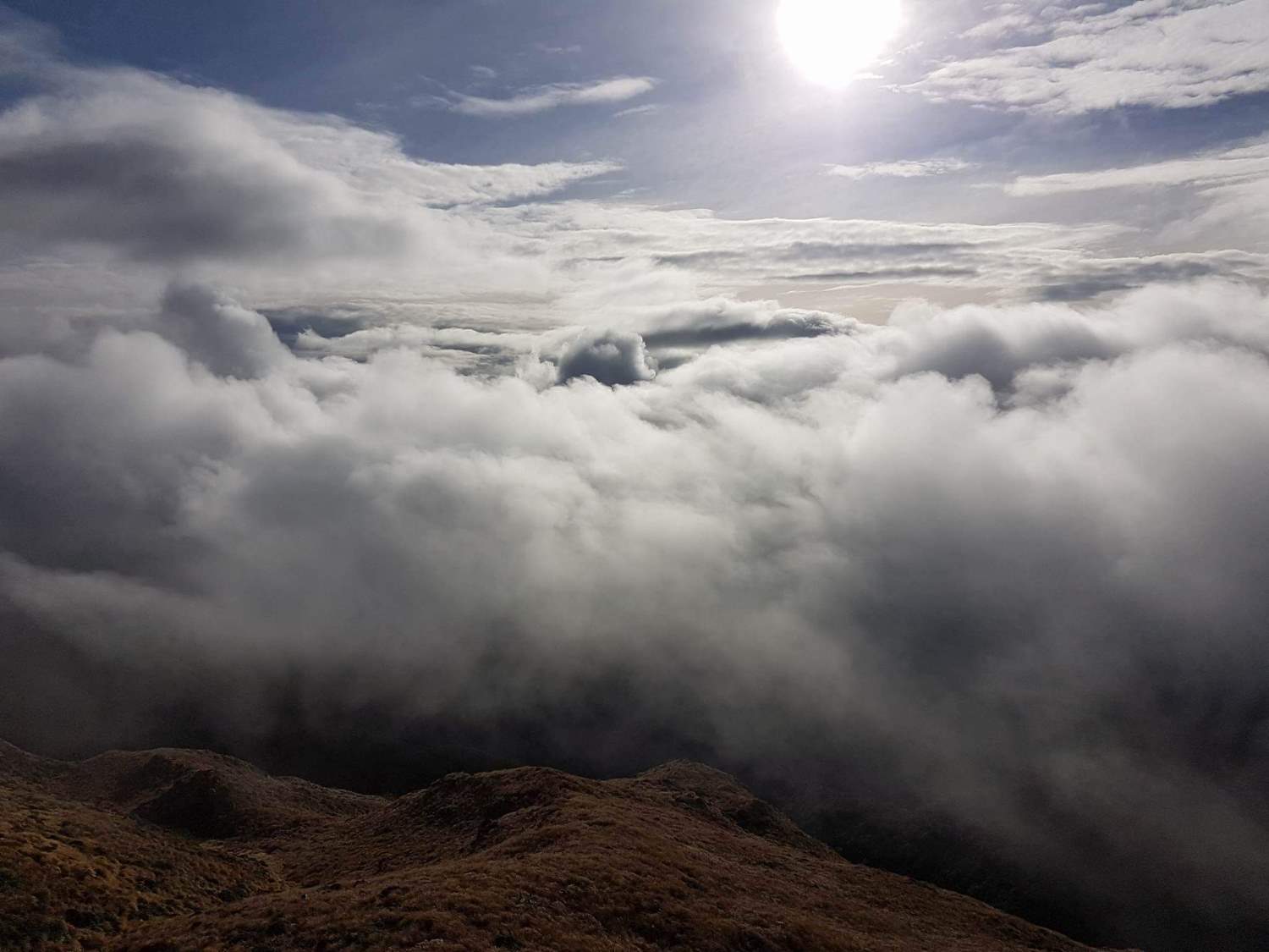 Solve Above the Clouds, Tararua Forest Park. New Zealand jigsaw puzzle online with 108 pieces