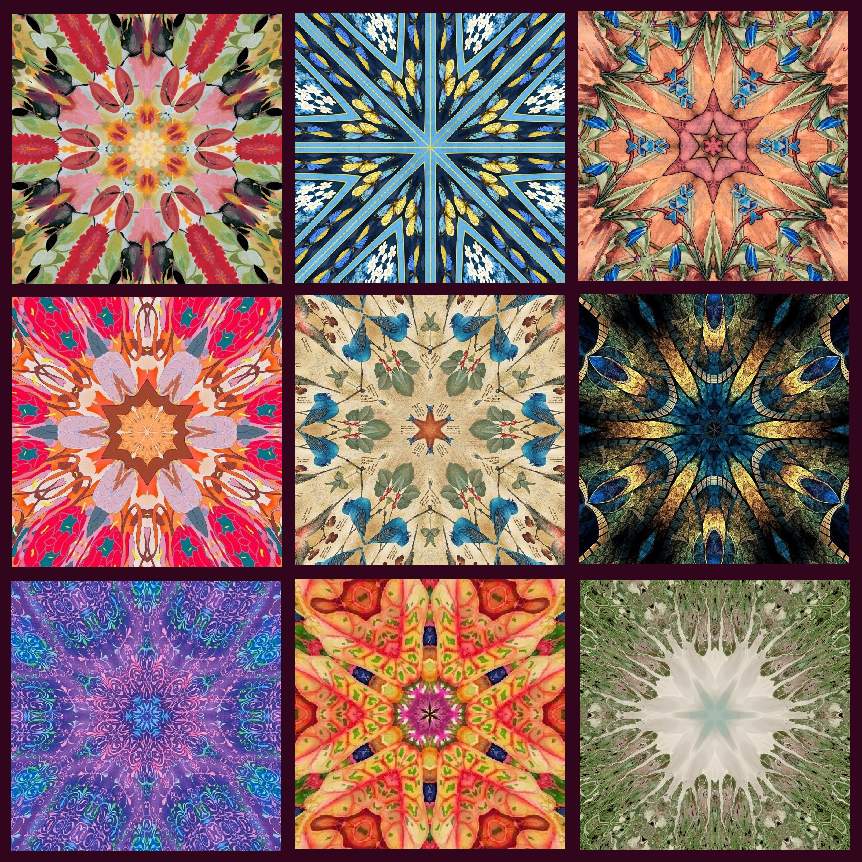 Solve kaleido mix 488 jigsaw puzzle online with 81 pieces