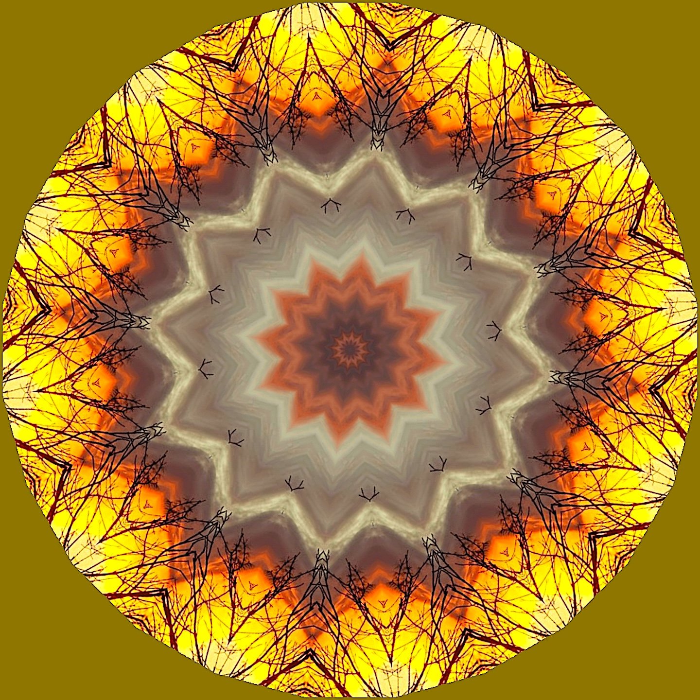 Solve #1 large jigsaw puzzle online with 144 pieces