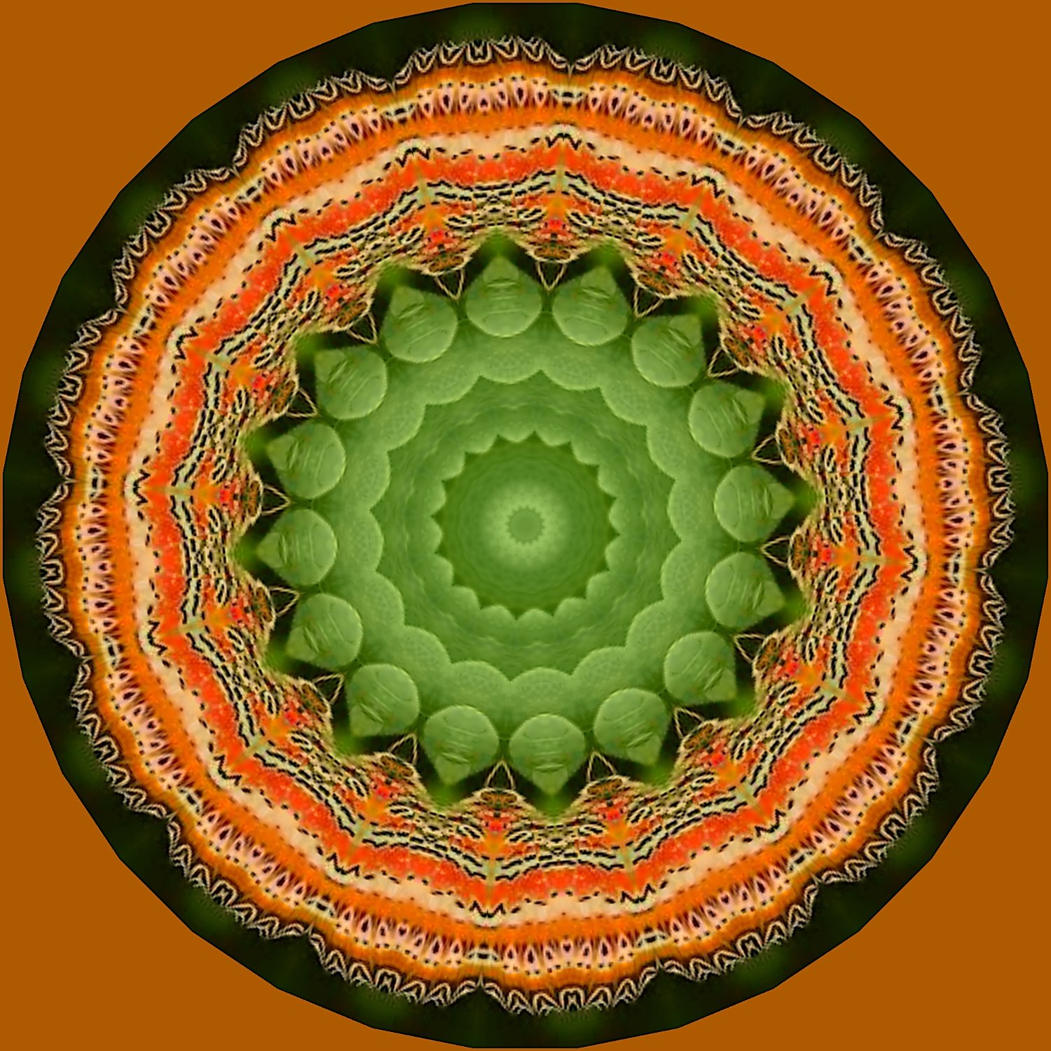 Solve #1 small jigsaw puzzle online with 64 pieces