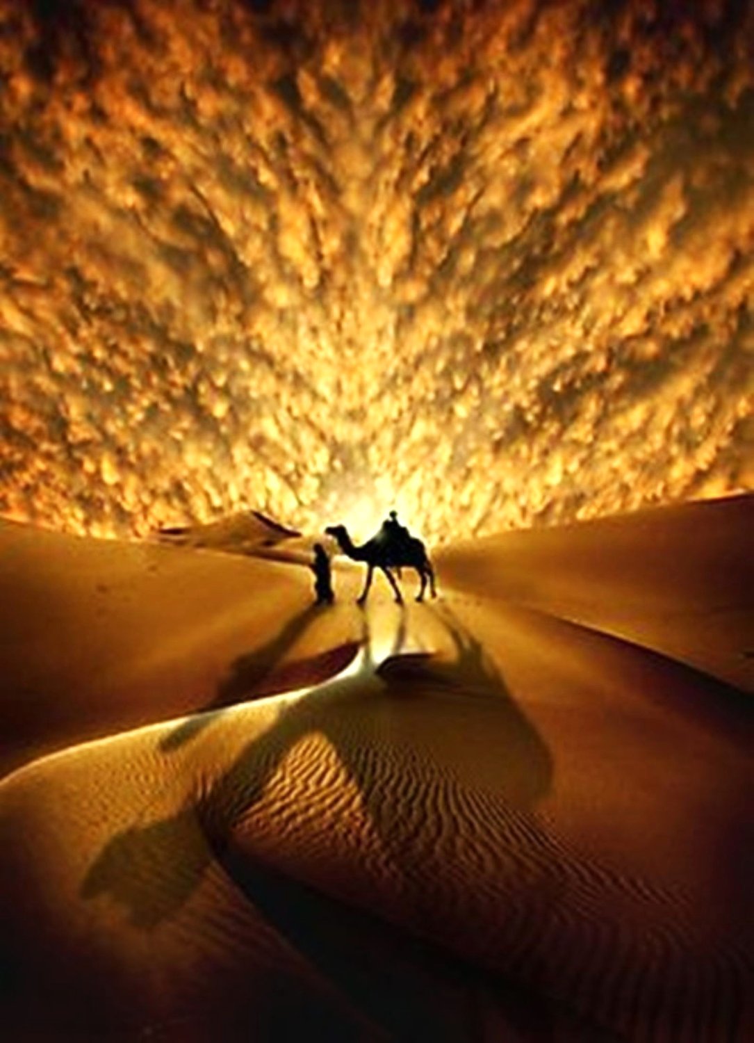 Solve Desert Beauty jigsaw puzzle online with 165 pieces