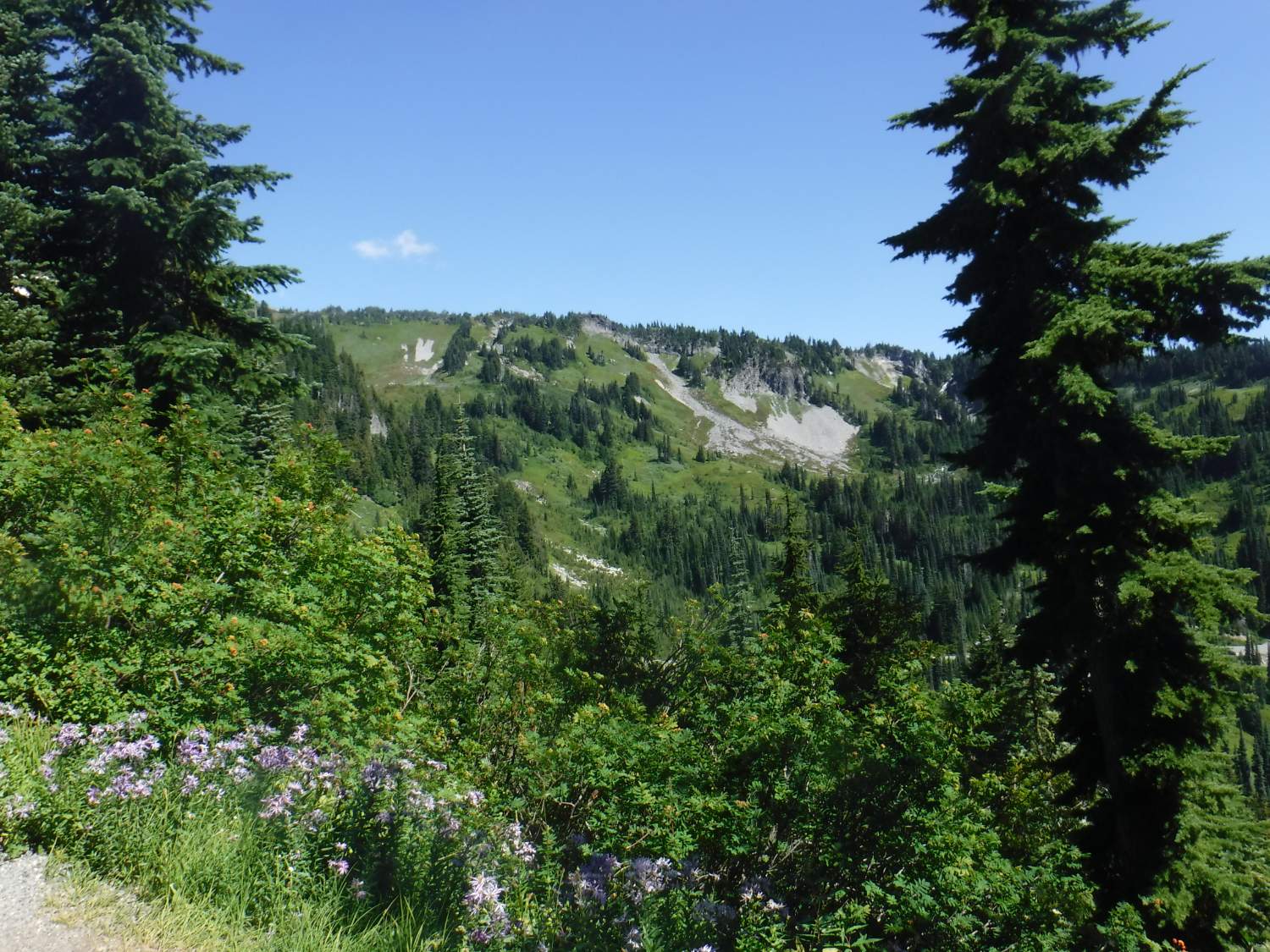 Solve Rainier National Park, Washington state, USA jigsaw puzzle online ...