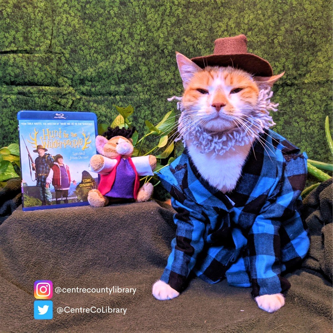 Solve Cat Icon Game #233 - Horatio the Library Cat celebrates Sam Neill ...