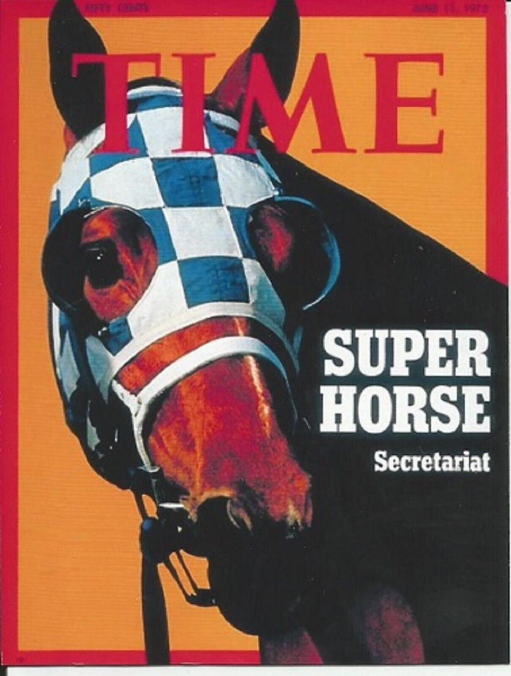 Solve Secretariat jigsaw puzzle online with 88 pieces