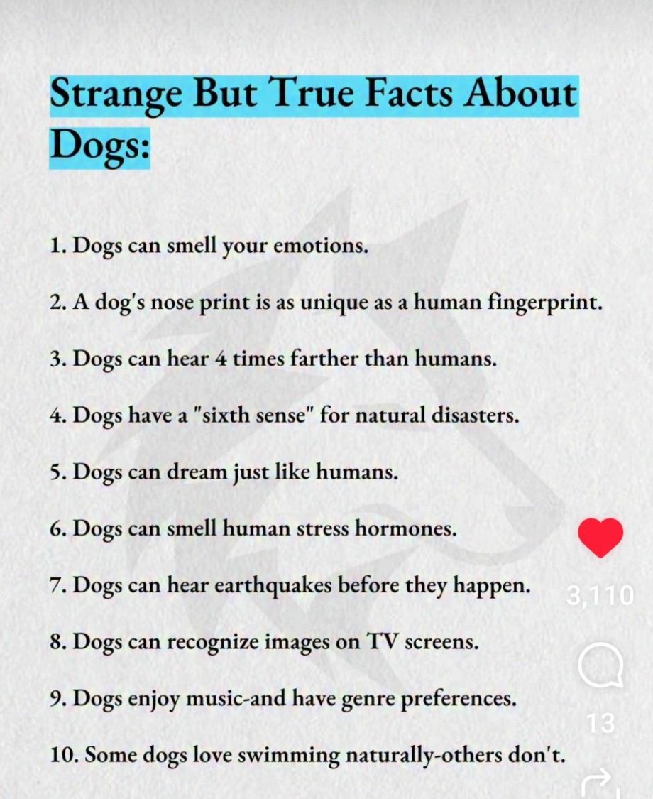 Solve Strange but true facts about dogs jigsaw puzzle online with 12 pieces