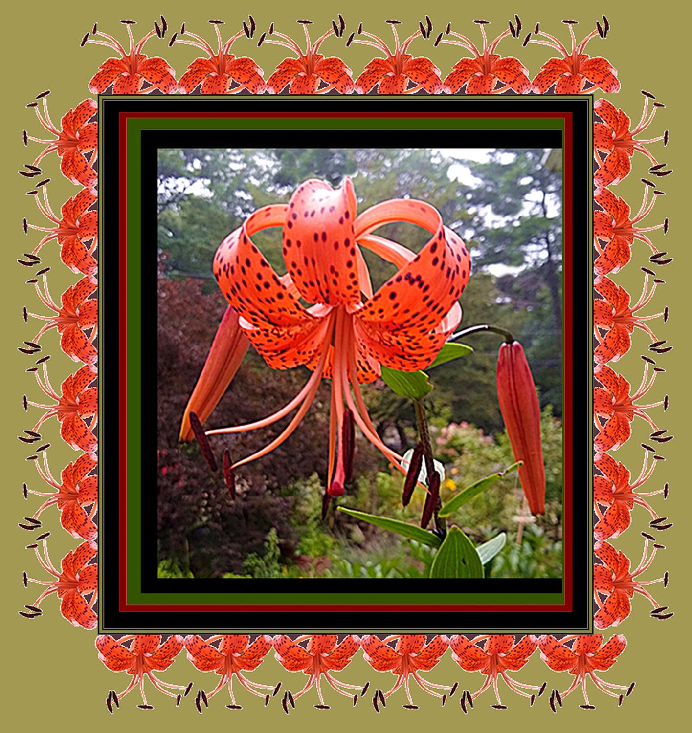 Solve Dreaming of Warmer Days When My Flowers Bloom! - 1 jigsaw puzzle ...