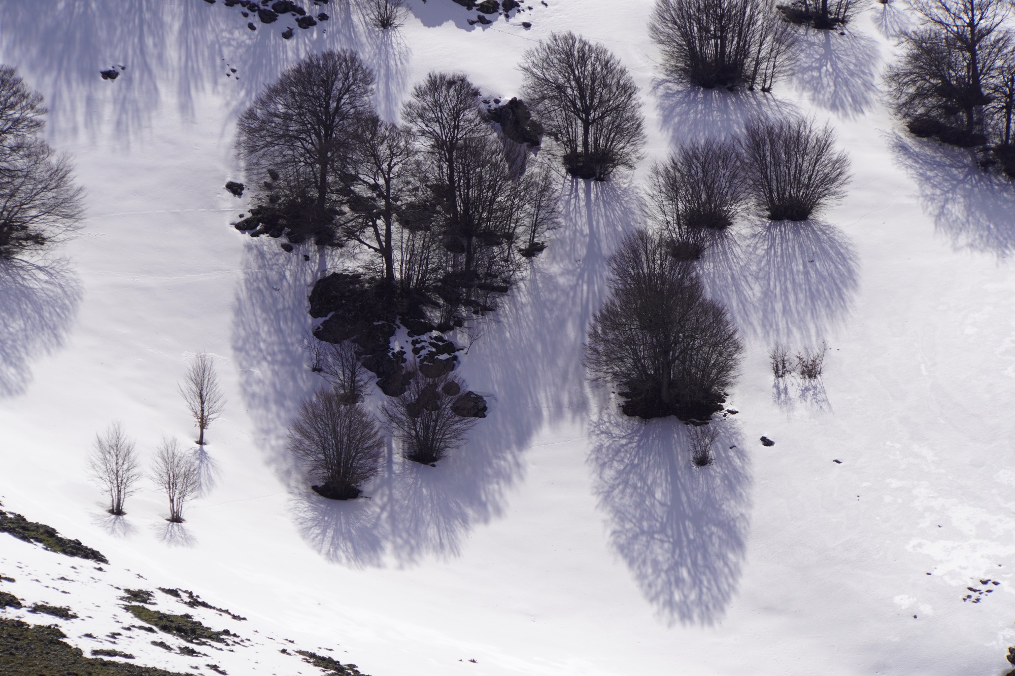 Solve Shadows jigsaw puzzle online with 96 pieces