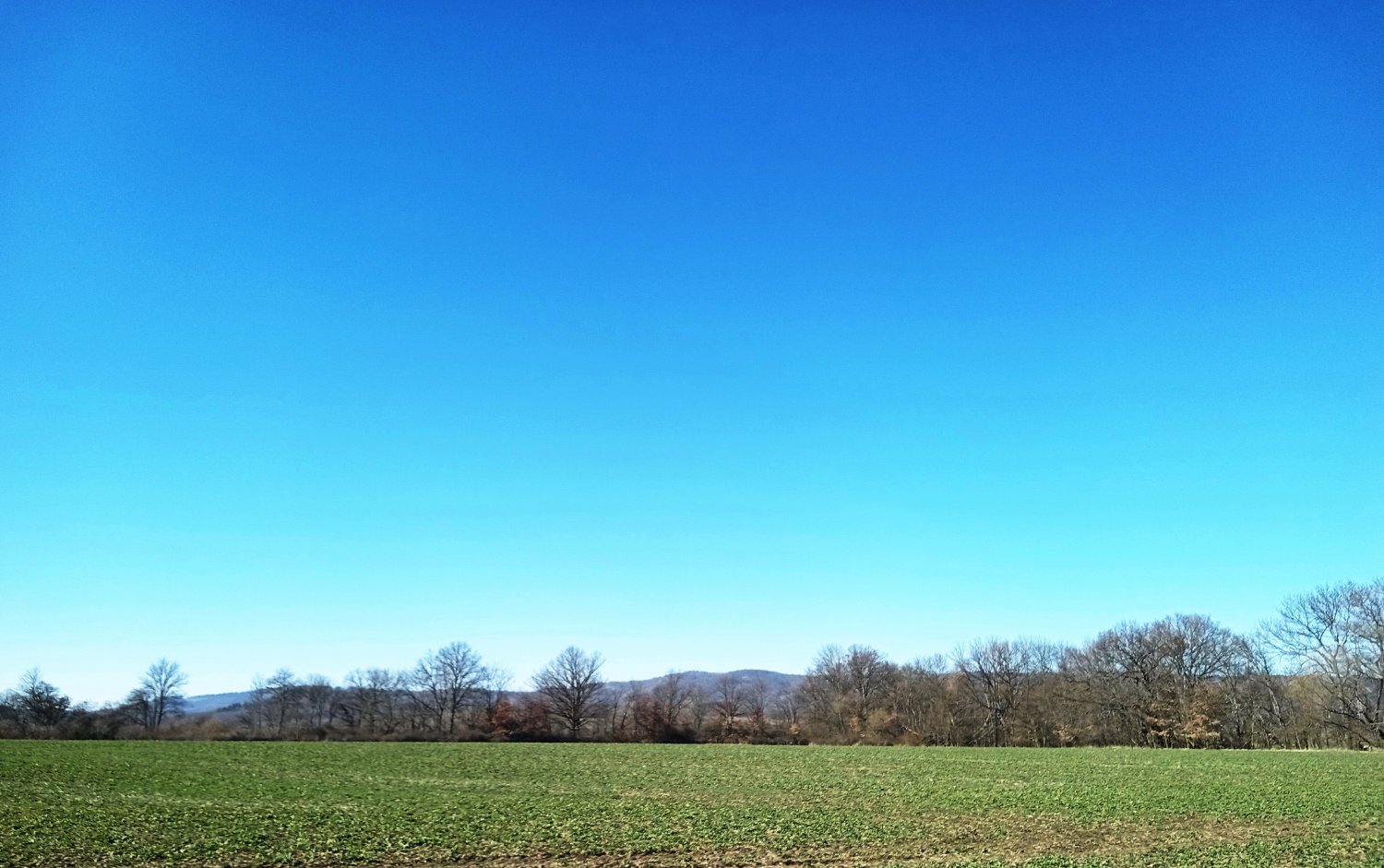 Solve modré nebe nad hlavou a pole svazenky jigsaw puzzle online with ...