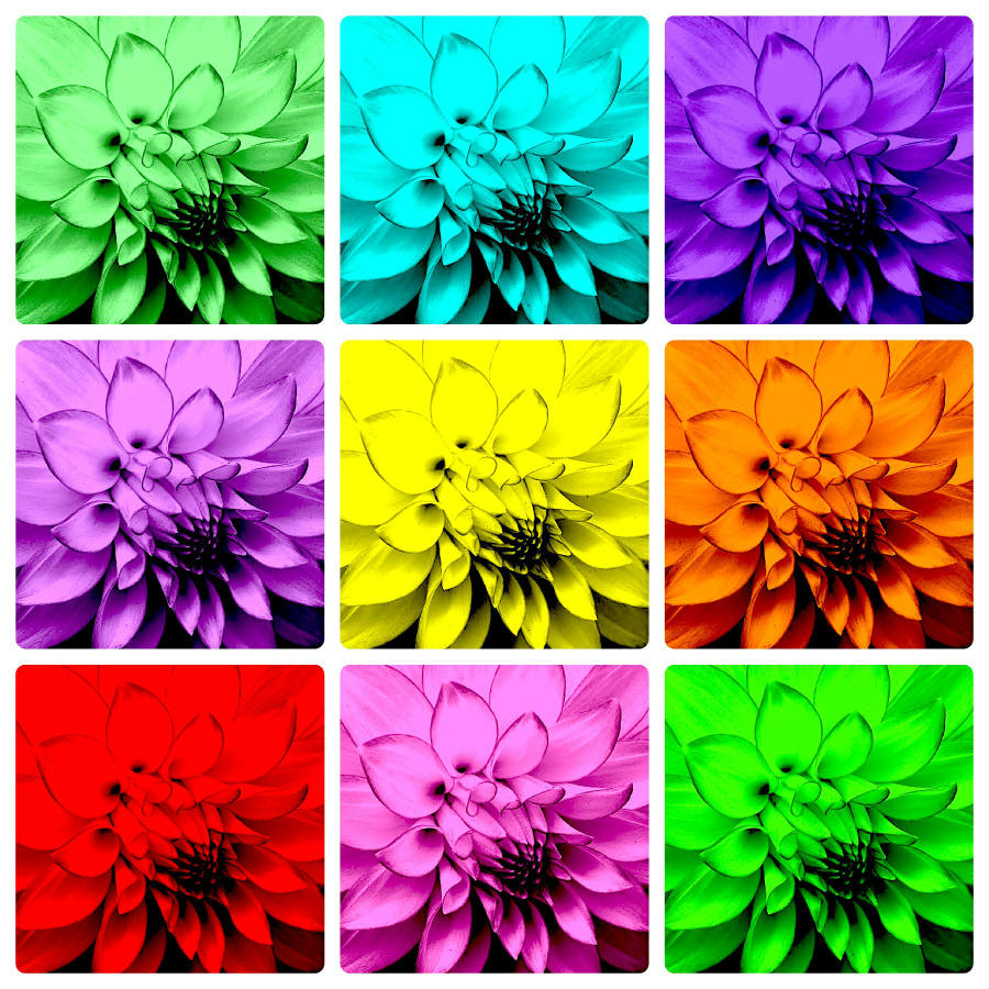 Solve Flower Color Chart jigsaw puzzle online with 81 pieces