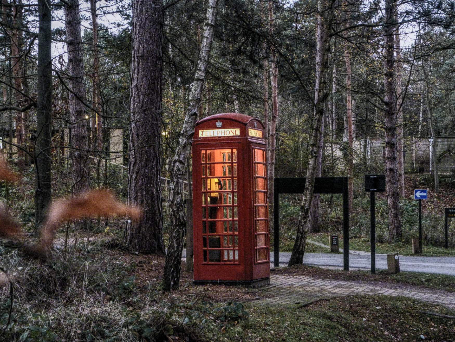 Solve Forest Call Box jigsaw puzzle online with 154 pieces