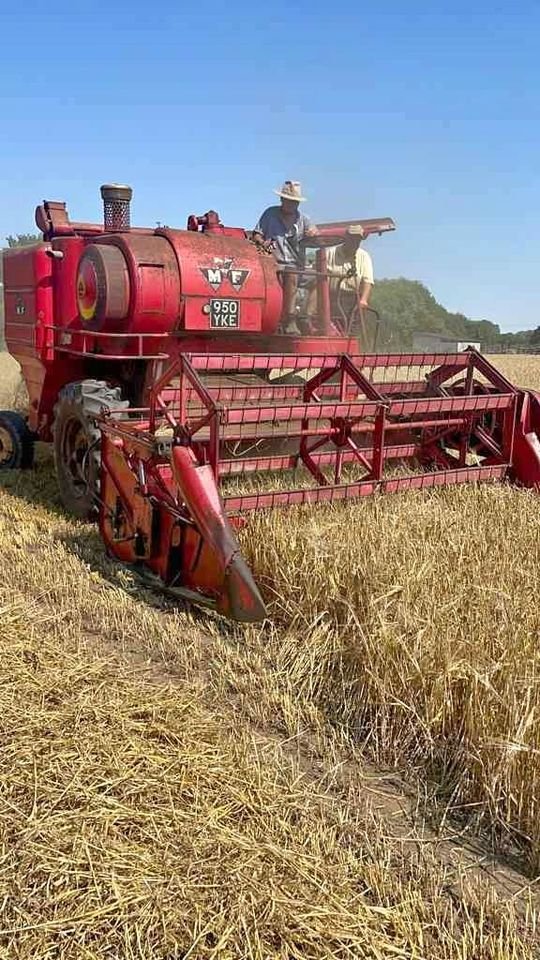 Solve MF combine jigsaw puzzle online with 144 pieces