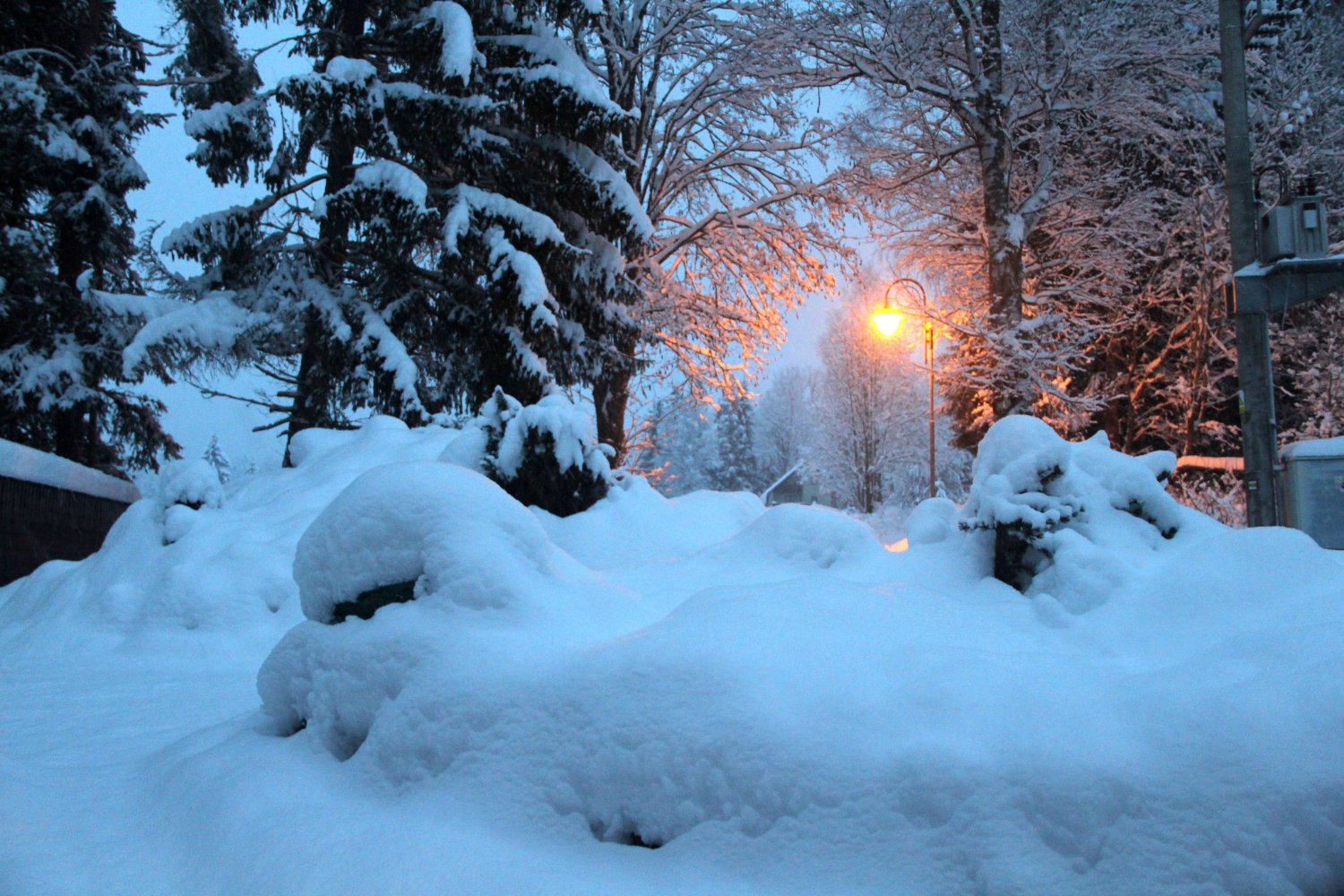 Solve bos jigsaw puzzle online with 15 pieces