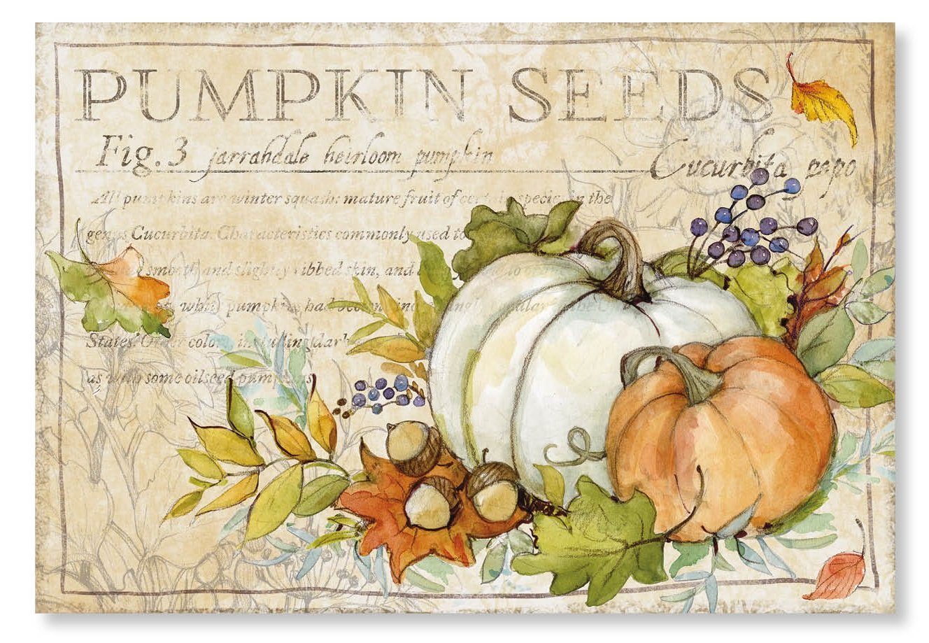 Solve Fall Colors jigsaw puzzle online with 247 pieces