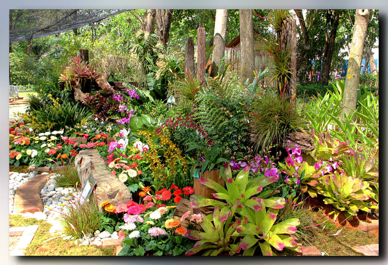 Solve Philippine Flora Series jigsaw puzzle online with 12 pieces