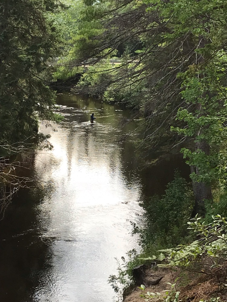 Solve Fly fishing, Two Hearted River, Michigan jigsaw puzzle online ...