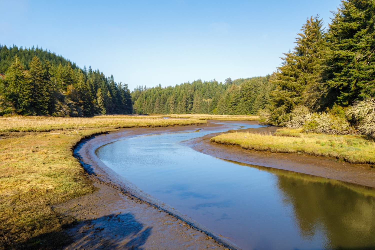 Solve A SLOUGH RUNS THROUGH IT jigsaw puzzle online with 96 pieces