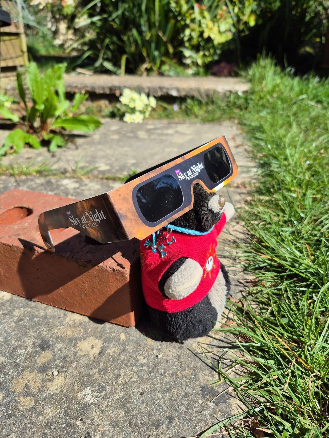 Solve Watching the eclipse jigsaw puzzle online with 88 pieces