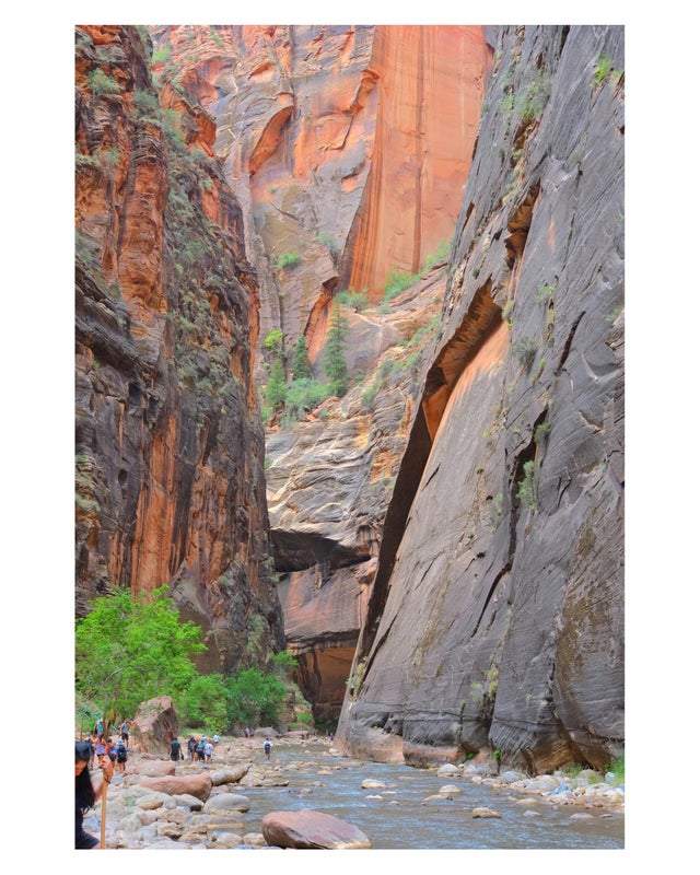 Solve Scale of a person compared to a giant wall of rock Zion National ...