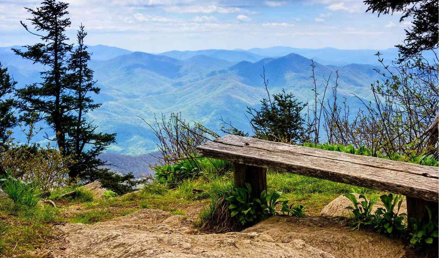 Solve Taking a break jigsaw puzzle online with 15 pieces