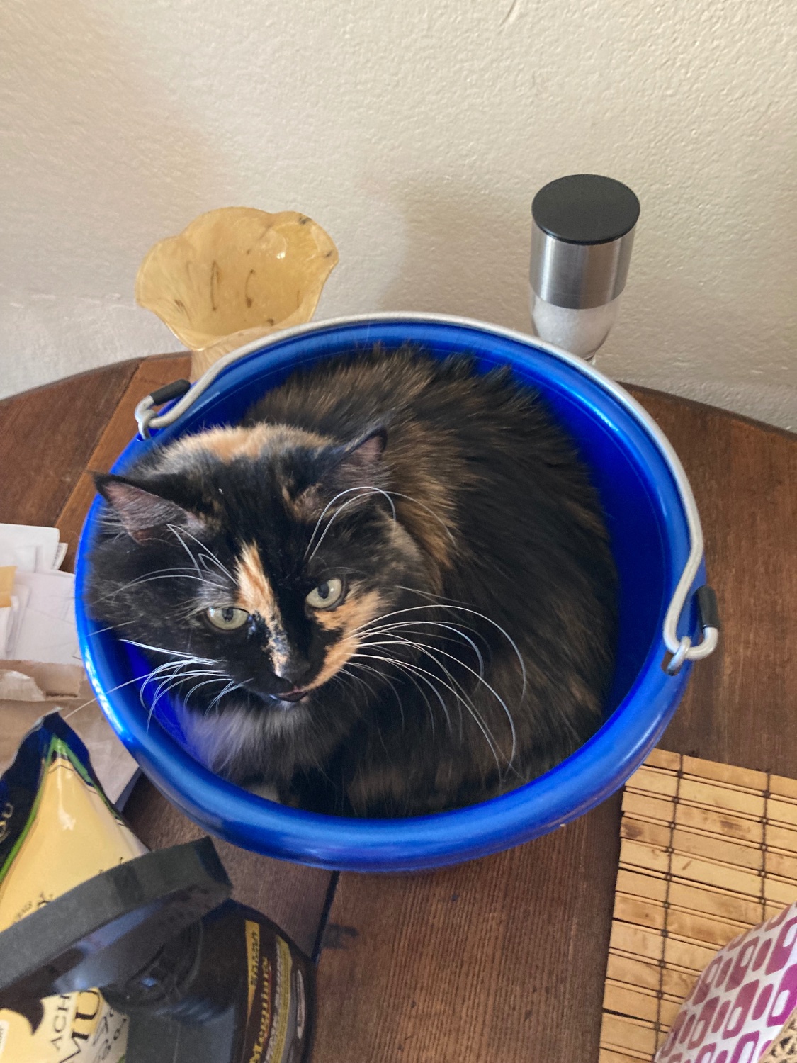 Solve My bucket overfloweth jigsaw puzzle online with 130 pieces