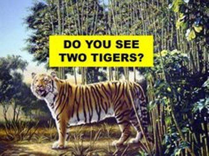 Solve Can you spot the hidden tiger in today's "find-em" puzzle. You ...