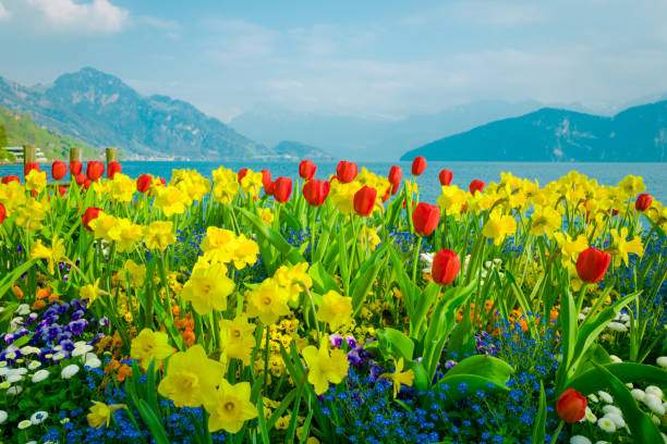 Solve Spring. jigsaw puzzle online with 70 pieces