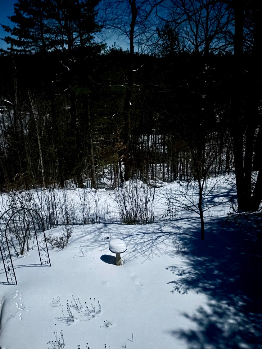 Solve Moon made it look like midday. jigsaw puzzle online with 12 pieces