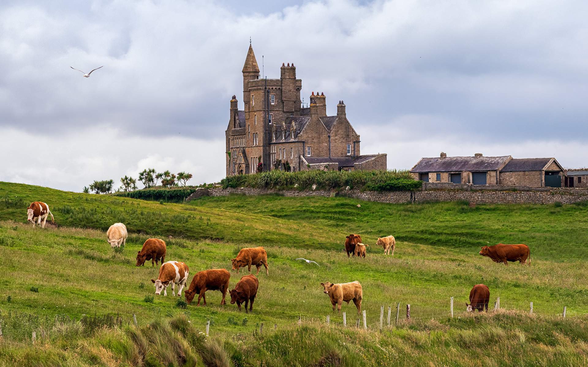 Solve Ireland_Classiebawn_Castle jigsaw puzzle online with 160 pieces