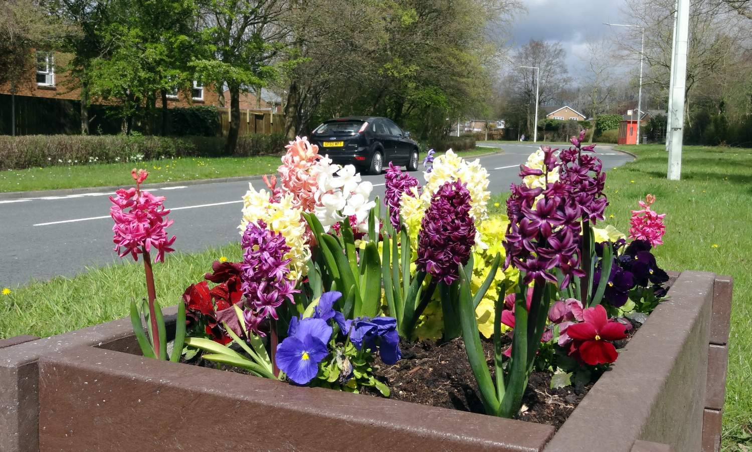 Solve Roadside Spring Flower Display (4) jigsaw puzzle online with 40 ...