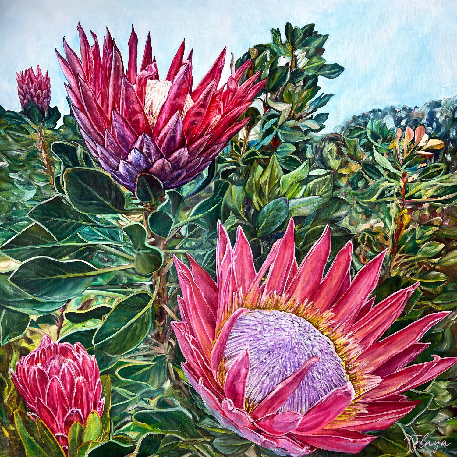 Solve Protea Exotique by Tylaya jigsaw puzzle online with 81 pieces