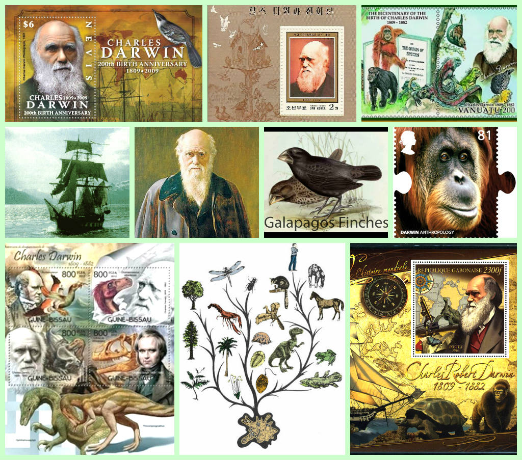Solve Happy Birthday Charles Darwin! jigsaw puzzle online with 255 pieces