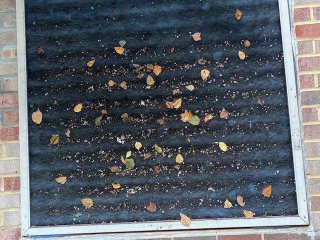 Solve Filter needs changing jigsaw puzzle online with 20 pieces