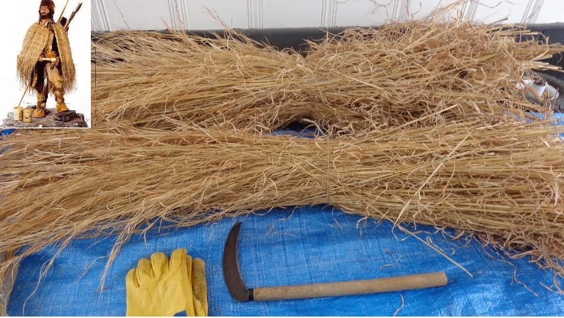 Solve Straw Cape jigsaw puzzle online with 40 pieces