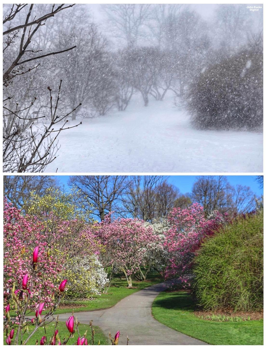 Solve Transformation Tuesday jigsaw puzzle online with 80 pieces