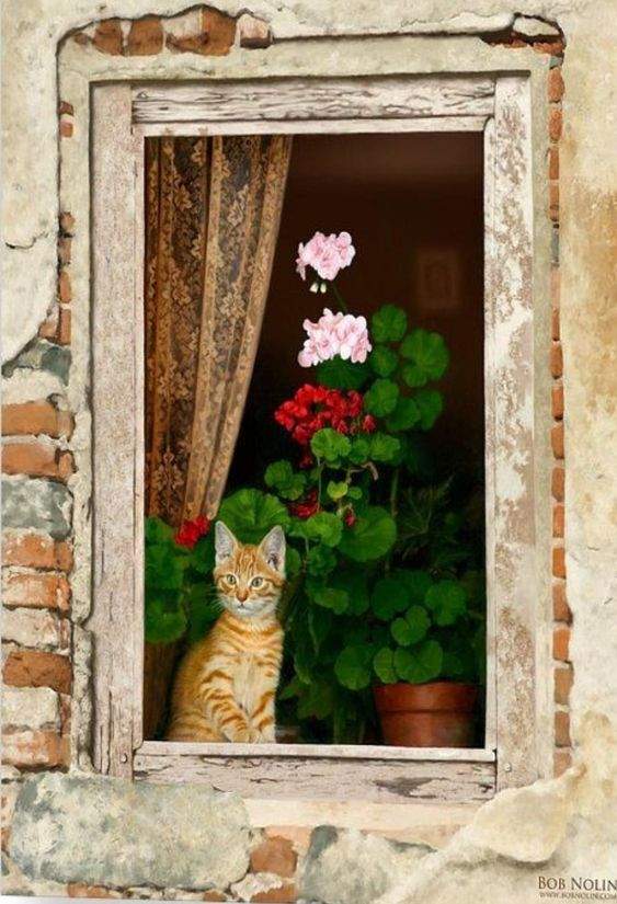 Solve BEAUTIFUL WINDOW jigsaw puzzle online with 70 pieces