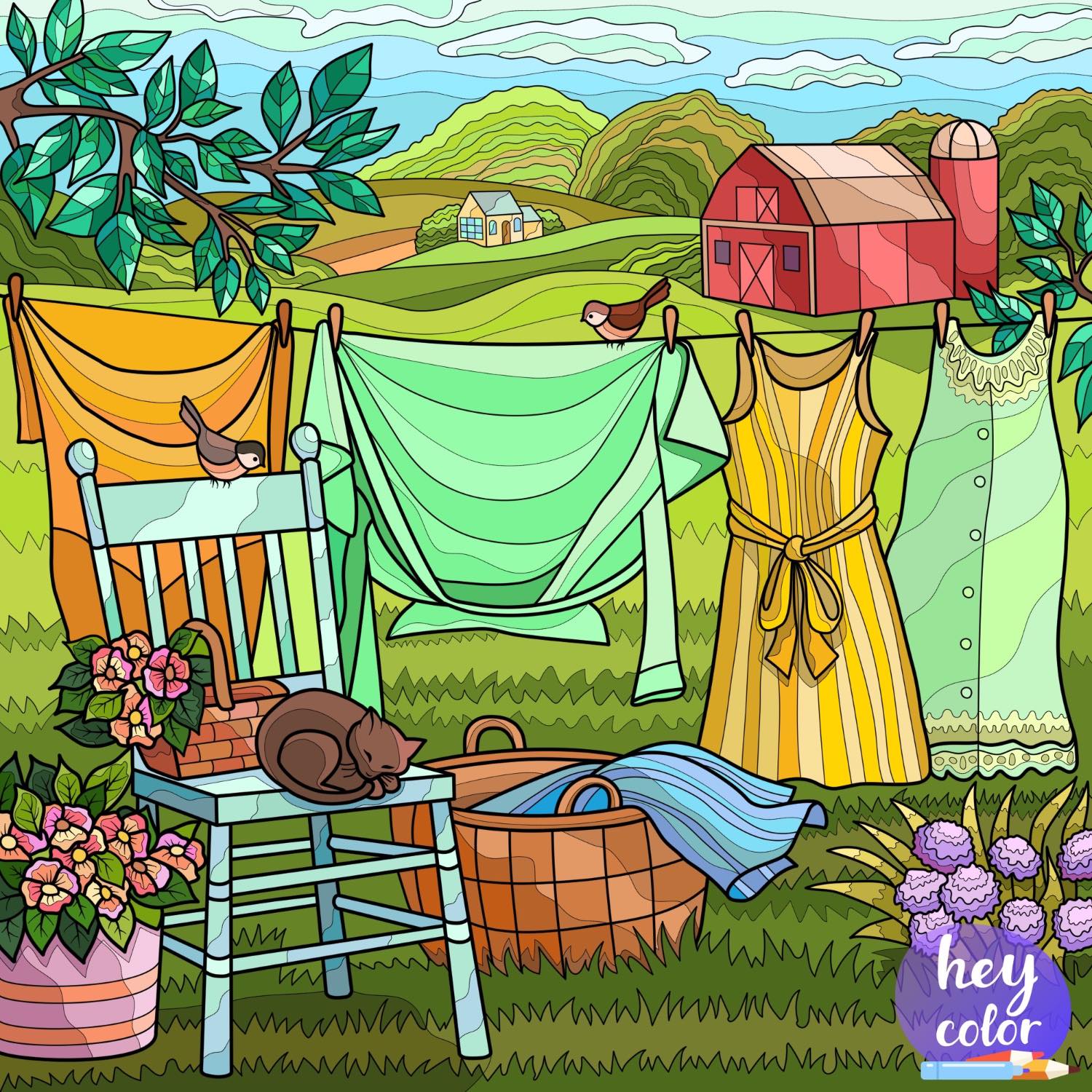 Solve Laundry jigsaw puzzle online with 256 pieces