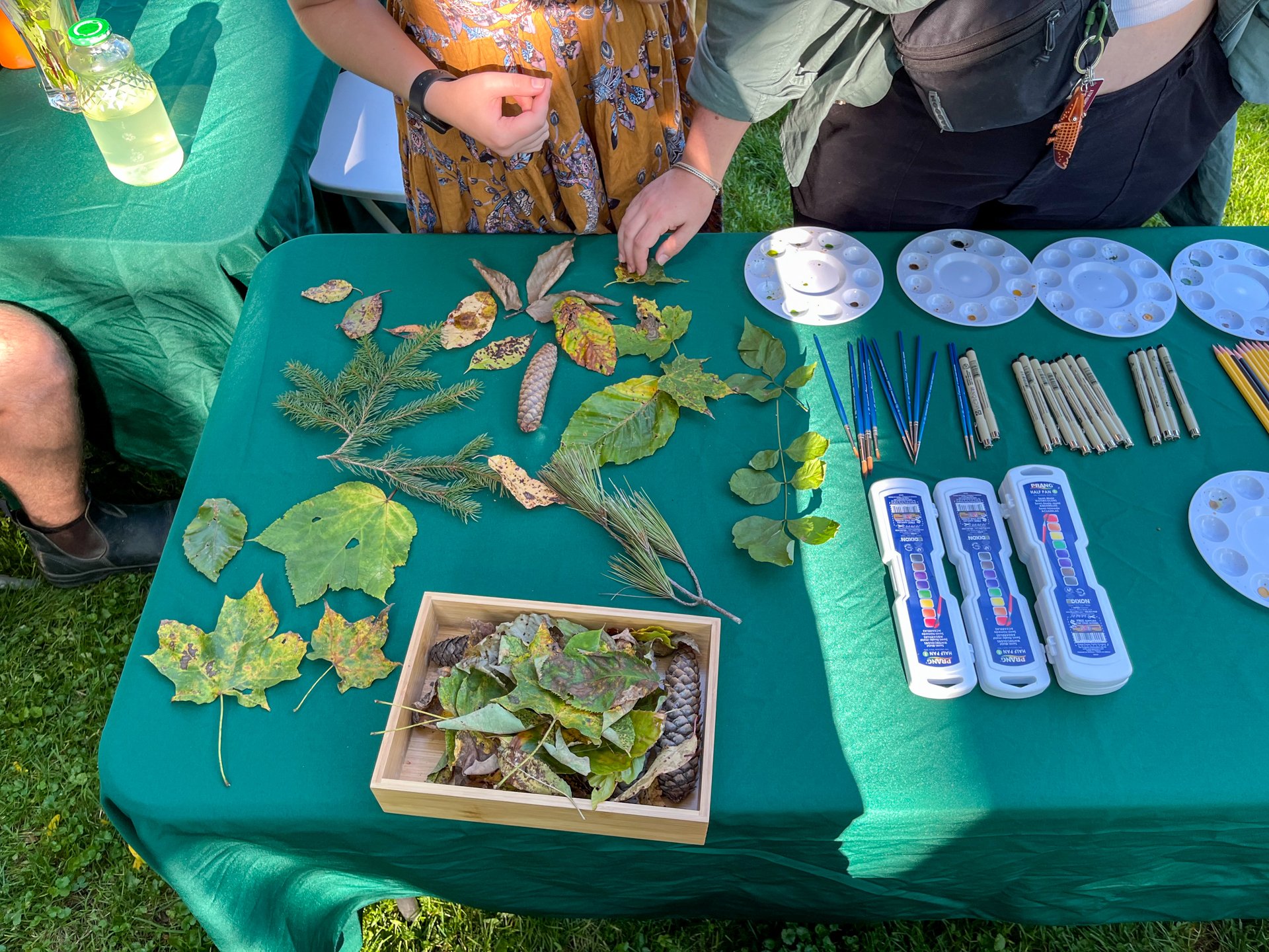 Solve Materials_at_Sip_and_Paint_(f1853c1f-ea32-4853-8ea7-6dcb2ac46f2b ...