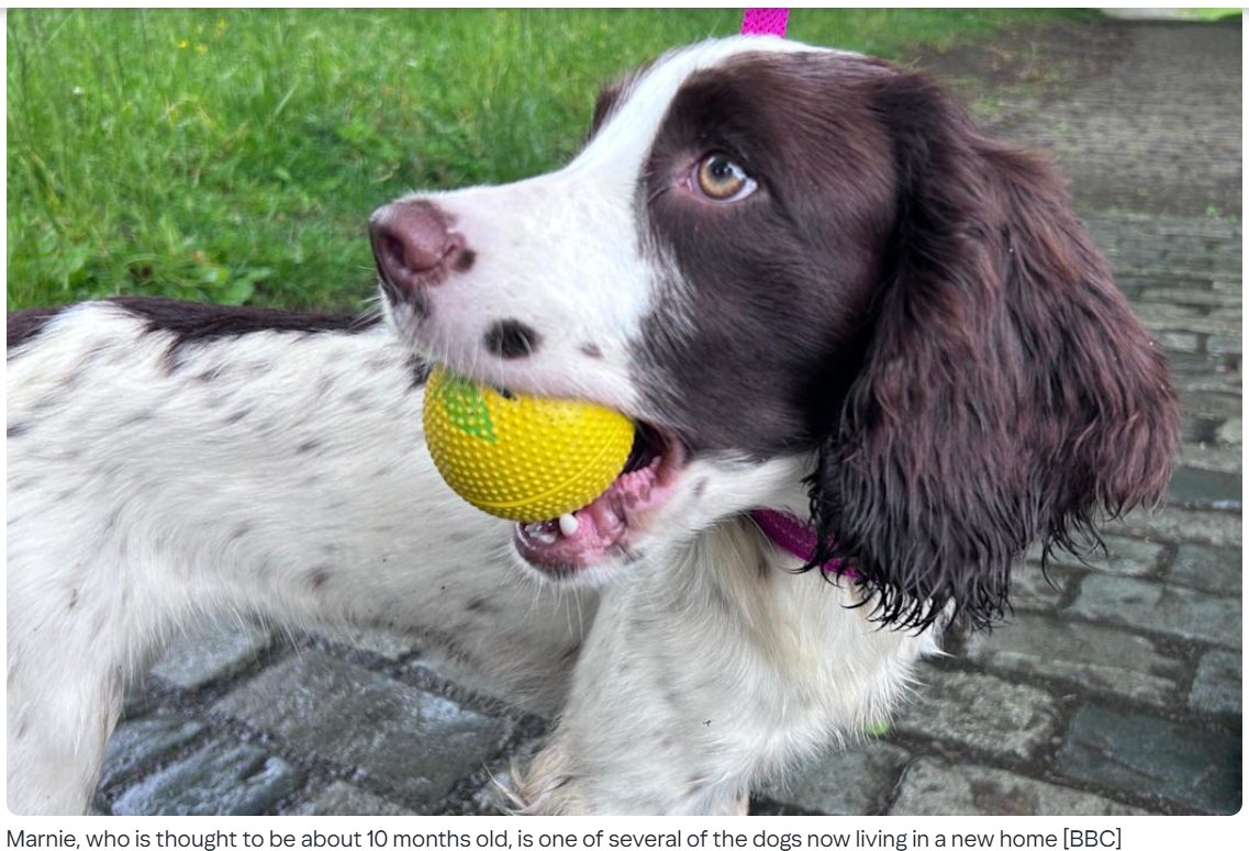 Solve NOW. jigsaw puzzle online with 15 pieces