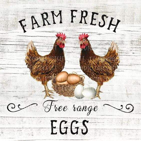 Solve Theme "Farm animals" jigsaw puzzle online with 16 pieces