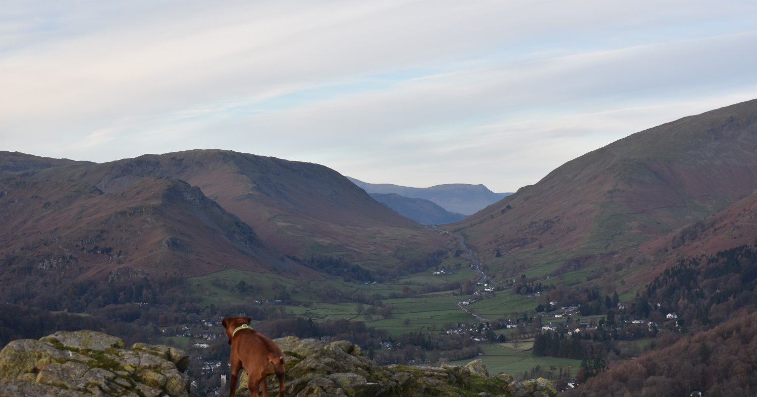 Solve Taking in the view before the long desent jigsaw puzzle online ...