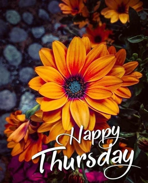Solve Good Morning - Happy Thursday! jigsaw puzzle online with 63 pieces