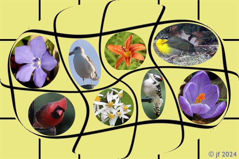Solve Abstract Birds Flowers jigsaw puzzle online with 35 pieces