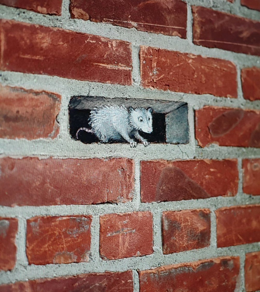 Solve HOW MUCH IS THAT RODENT IN THE WINDOW? jigsaw puzzle online with ...