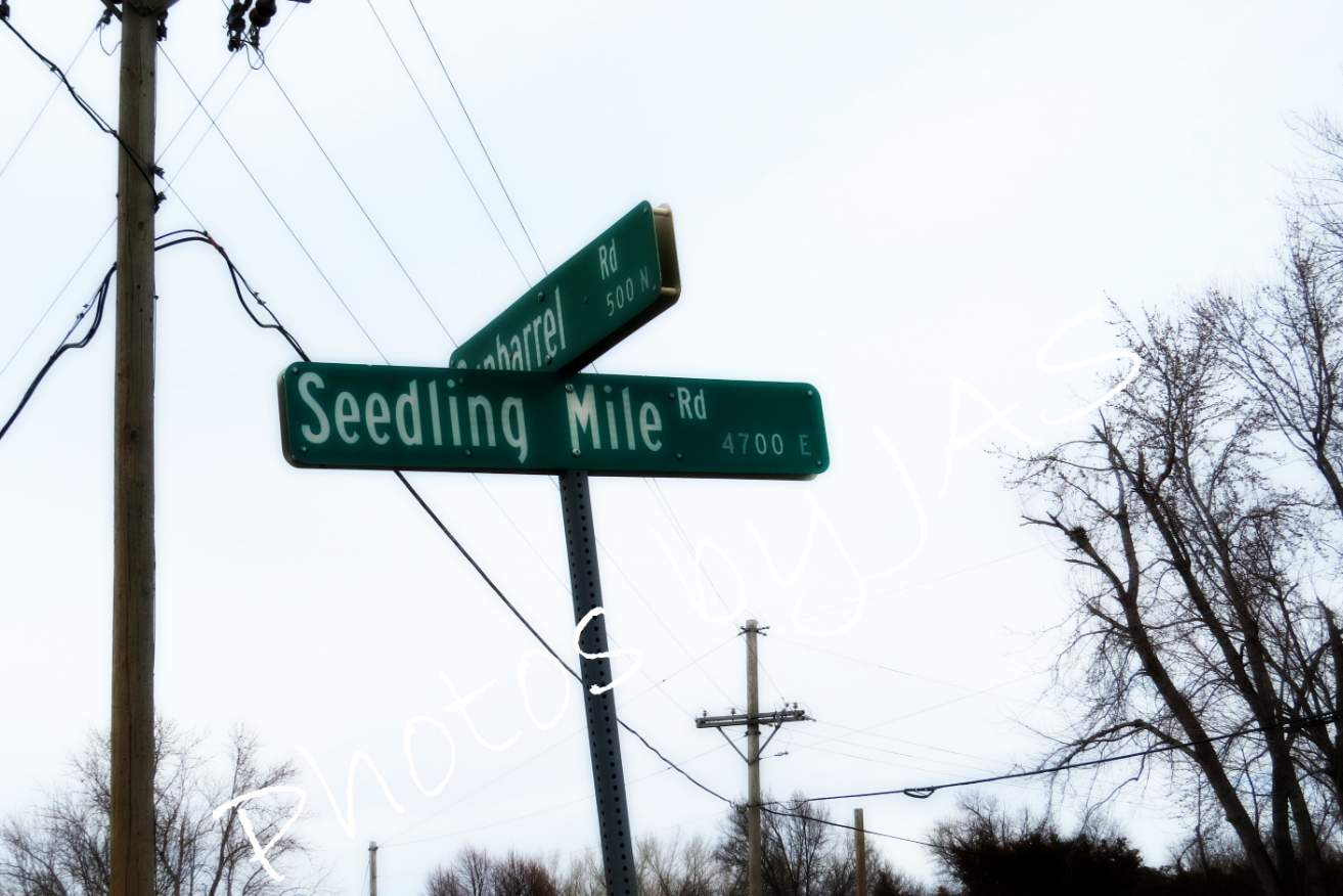 Solve Unique Street Names jigsaw puzzle online with 24 pieces