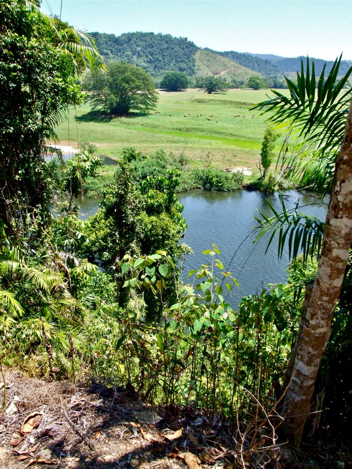 Solve Australian Scene jigsaw puzzle online with 99 pieces