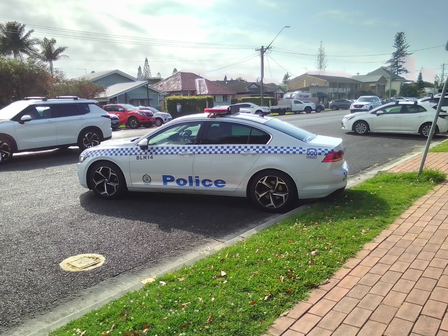 Solve Police jigsaw puzzle online with 12 pieces