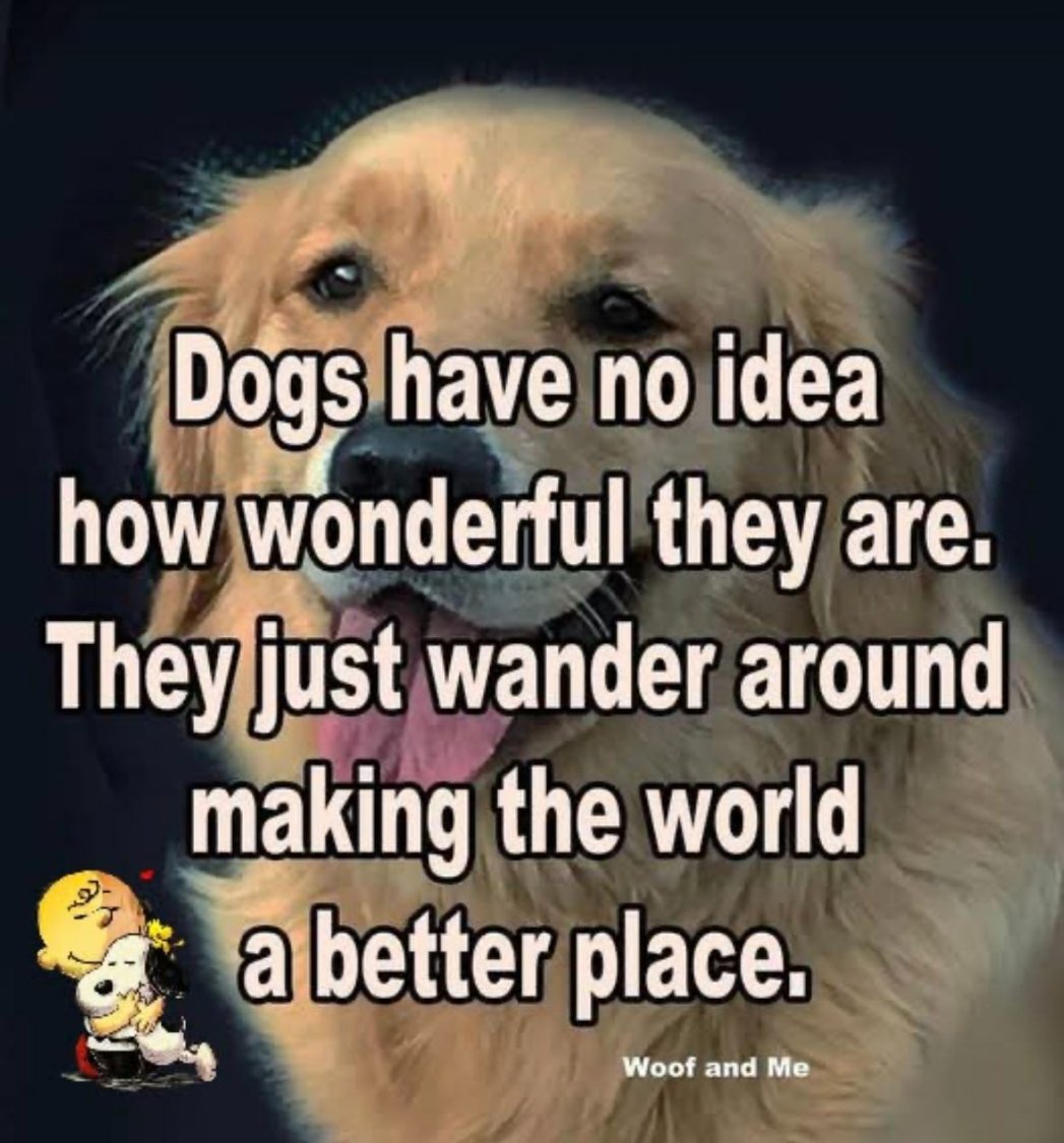 Solve Dogs have no idea how wonderful they are jigsaw puzzle online ...