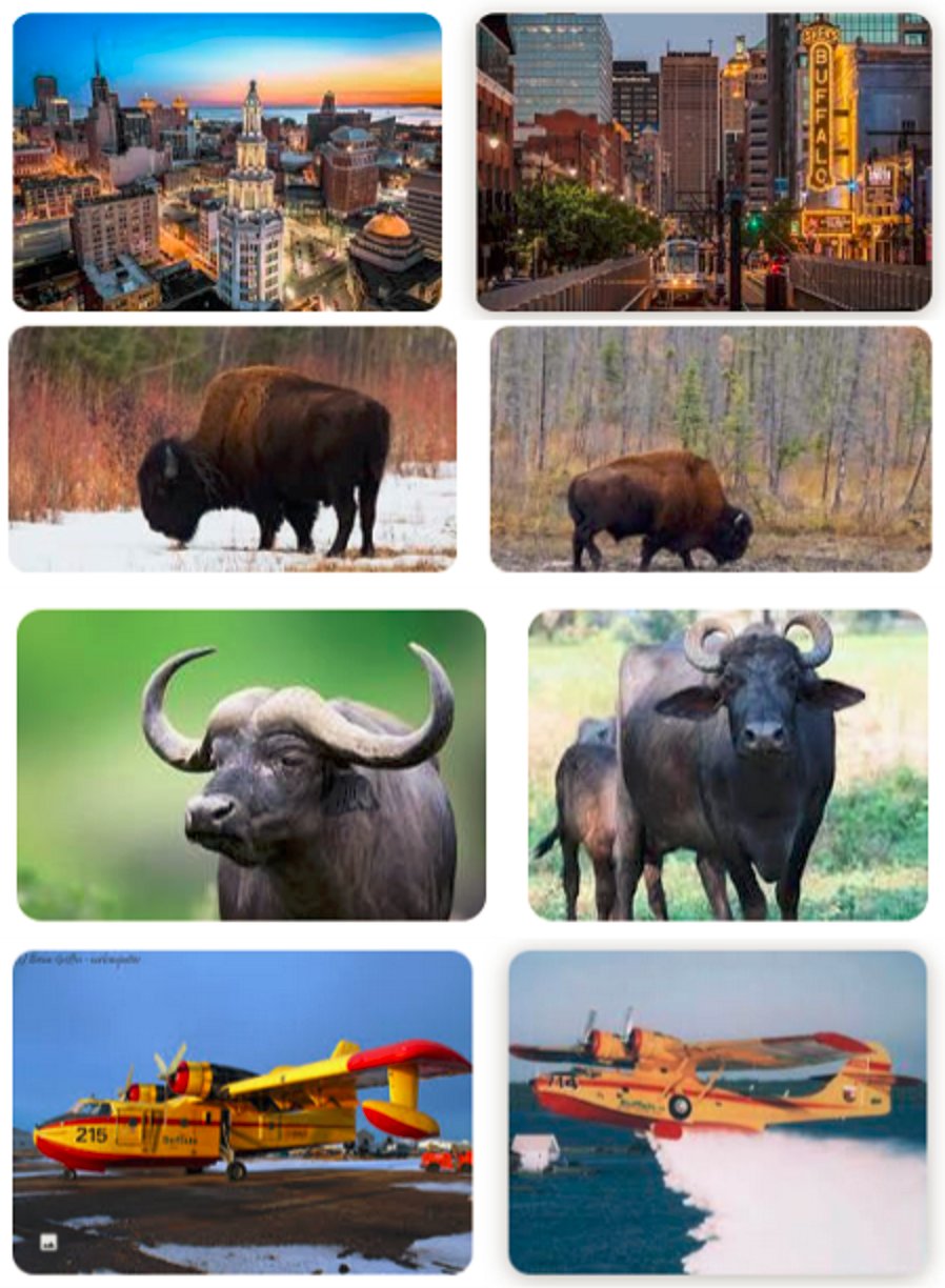 Solve Types of Buffalo (I like the yellow ones). jigsaw puzzle online ...
