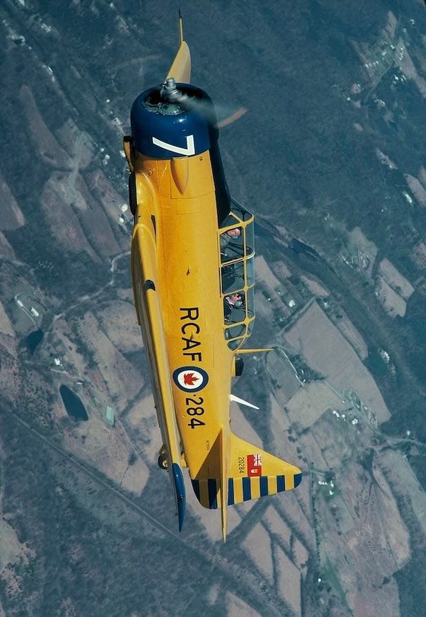 Solve Harvard jigsaw puzzle online with 77 pieces